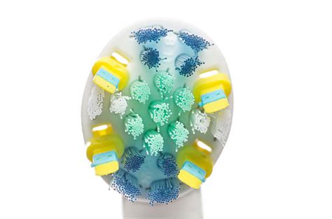 Image result for Toothbrush Front View