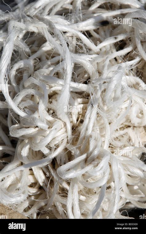 Image result for One Dangleingrope String