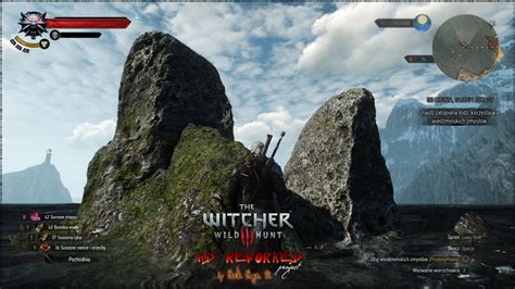 Image result for Witcher 3 Reworked FPS