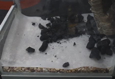 Image result for Bioactive Iguana Setup