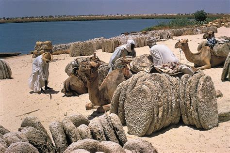 Image result for Natron Features