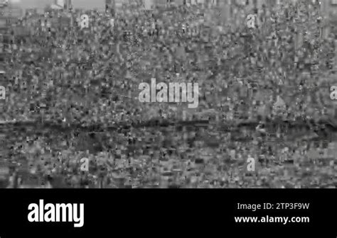 Image result for TV Static Noise Loop