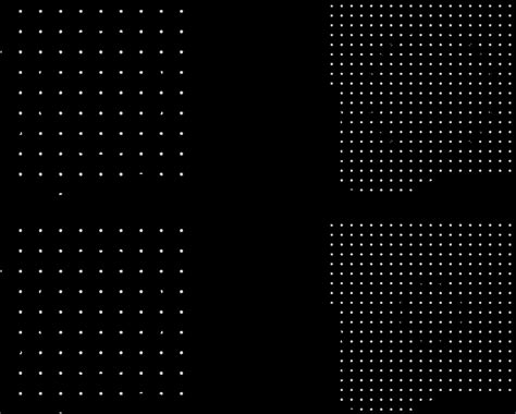 Image result for Morphological Convergence Examples