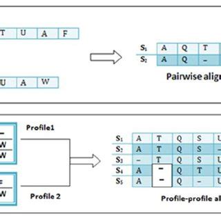 Image result for Sequence alignment Tutorial