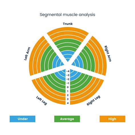 Image result for Building Muscle Mass Sublinal