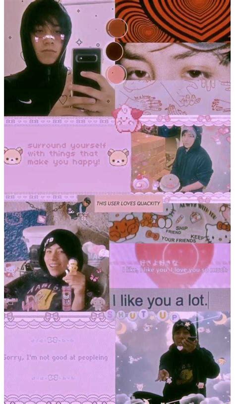 Image result for Quackity Wallpaper for Computer