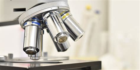 Image result for How to Calibrate Using Microscope