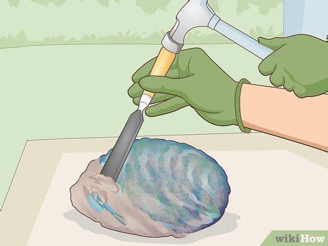 Image result for How to Polish Paua Shells