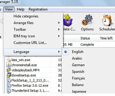 Image result for IDM Language Setting