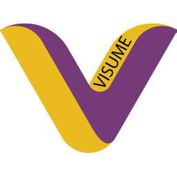 Image result for Visume Example