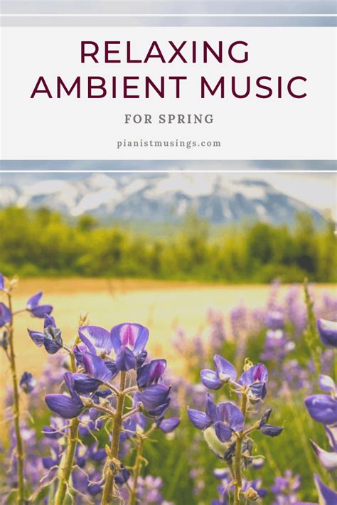 Image result for Calm Spring Music