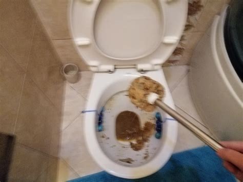 Image result for Clogged Poop