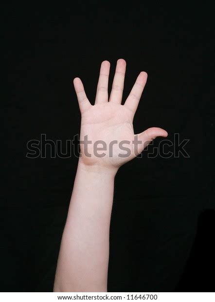 Image result for Five Sign Language
