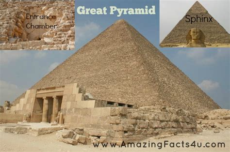 Image result for Pyramid Facts