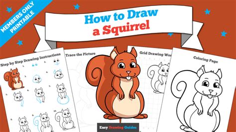 Image result for Squirrel Tutorial