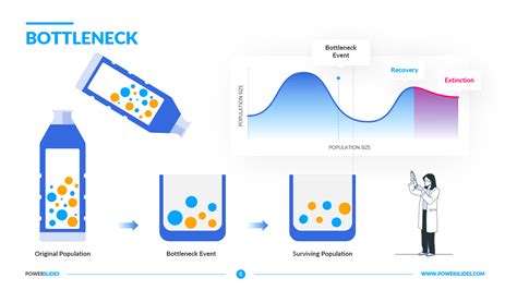 Image result for Bottleneck Examples
