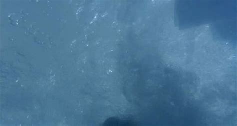 Image result for Snow Dogs Animation