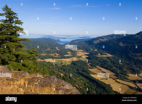 Image result for Salt Spring Island Aerial View