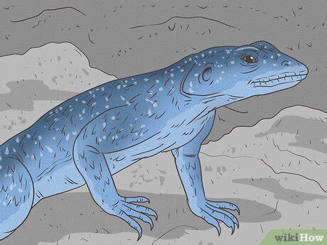 What Do Lizards Mean Spiritually? Symbolism, Dreams, & Omens