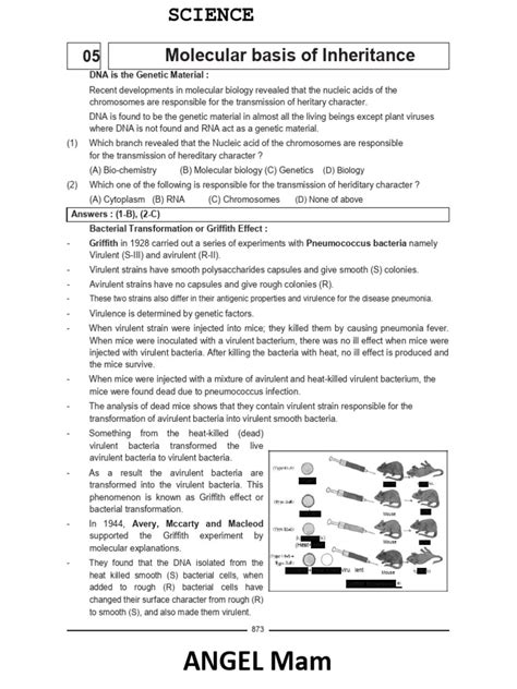 Image result for Chapter 5 Bio Class 12 Questions
