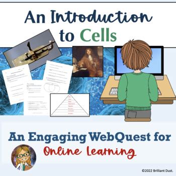 Image result for CellQuest Tutorial