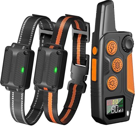 Image result for Best Training Collars for Dogs