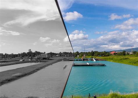 Image result for CWC Wake