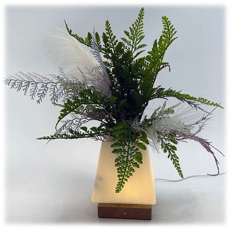 Image result for Translucenttb Lamp Filmp