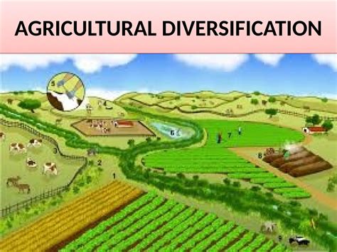 Image result for Rural Development Class 12