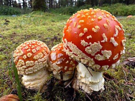 Mastering the Focal Point - Photography Academy