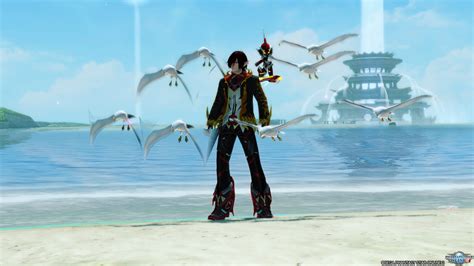 Image result for PSO2 How to Get Pet