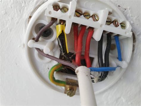 Image result for Installing a Ceiling Rose
