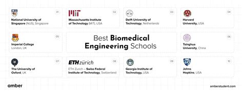 Image result for Biomedical Engineering Schools