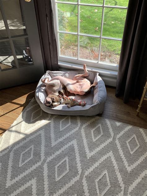 Image result for Rubio Monocoat Color Chart