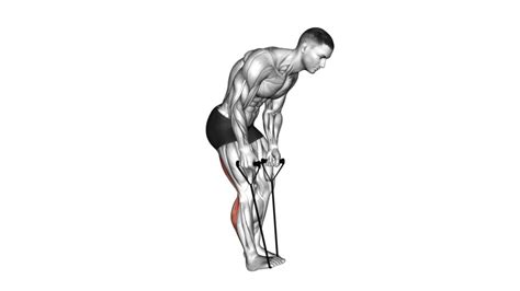 Image result for Standing Hamstring Stretch