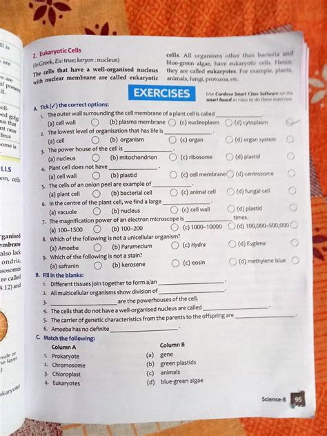 Image result for Electron Microscope Magnification