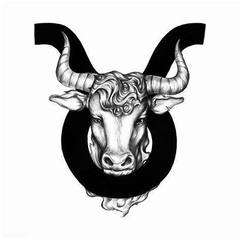 Image result for Taurus Sign Drawing