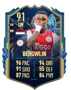 Image result for Python Totet Tier