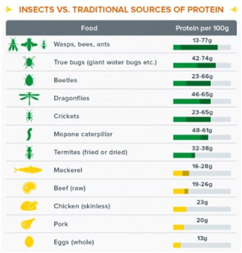 Image result for Insect Based Protein