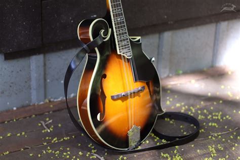 Image result for Nylon String Mandolin