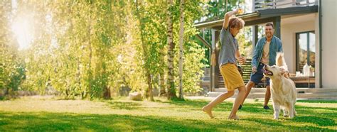 Image result for Tick Control Services Tick Box