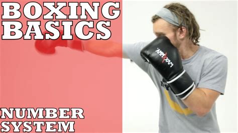 Image result for Boxing Number System