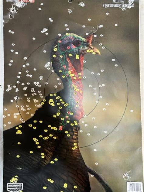 Image result for Patterning Shotgun with Boss Shot Shells