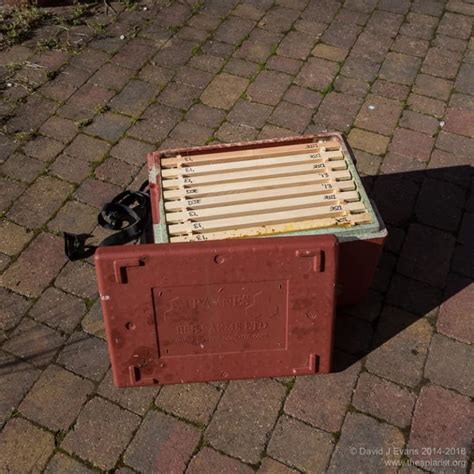 Image result for Poly Nuc Box