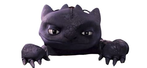 Image result for Toothless Mate