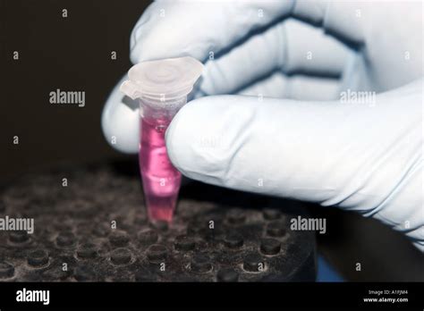 Image result for Vortexing