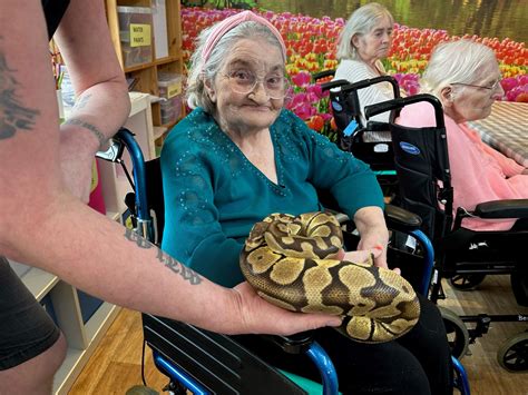 Image result for Corn Python