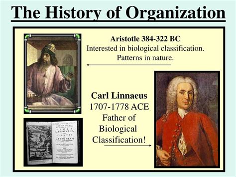 Image result for Classification Means and Example