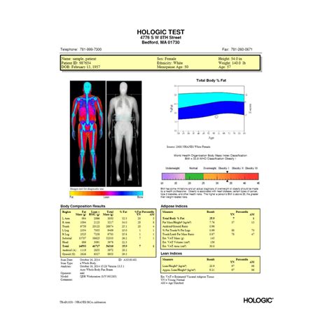 Image result for Dexa Scan Example