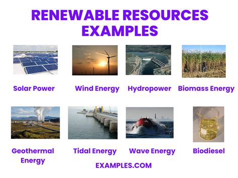 Image result for Renewable resource Examples